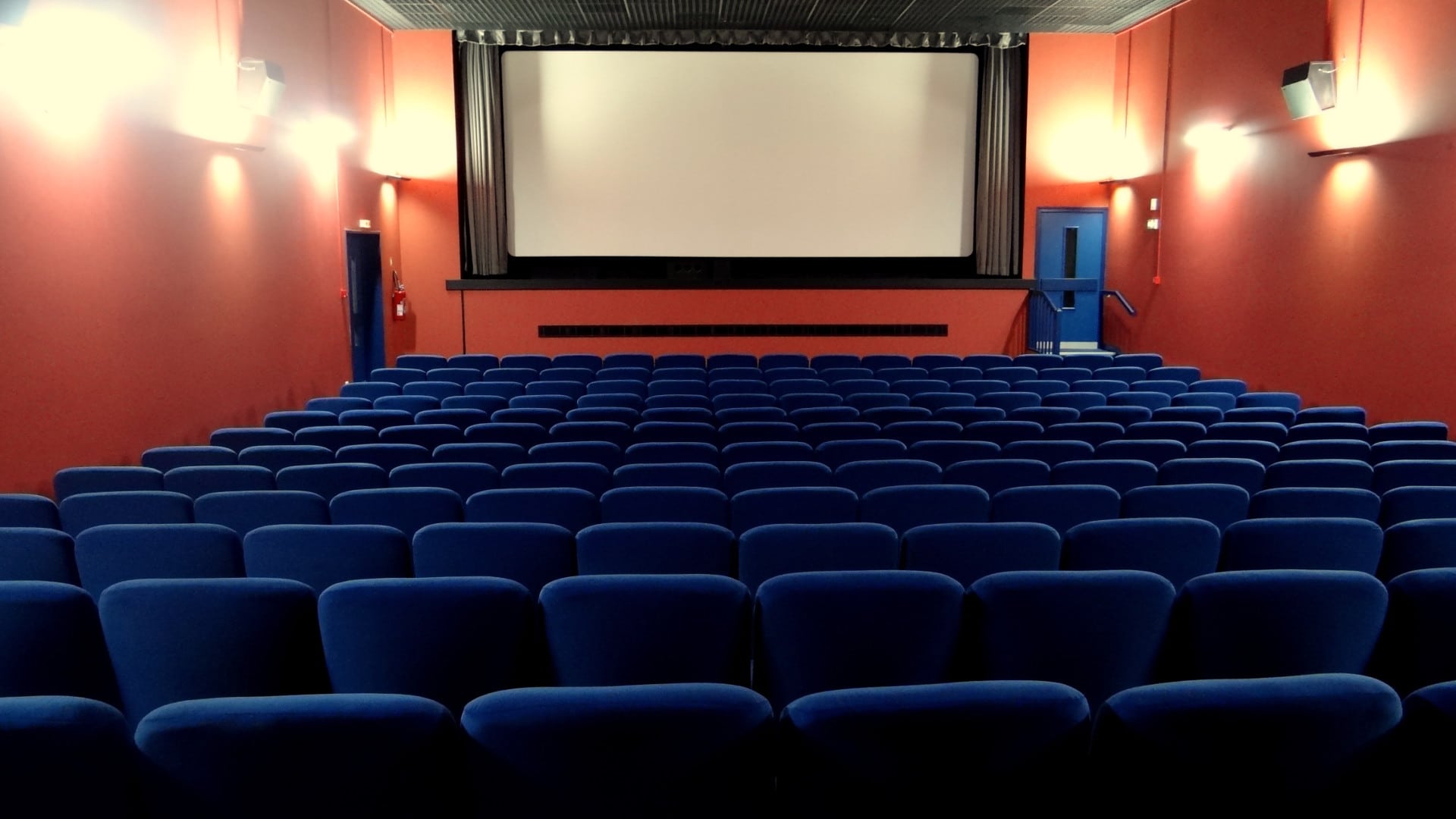 Économie et sociologie du cinéma en Belgique : Analyse | Le Rayon Vert